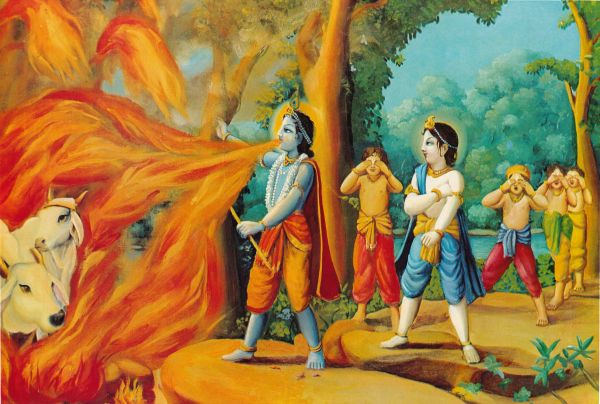 KB 1-19 / Devouring the Forest Fire KRSNA, The Supreme Personality of ...